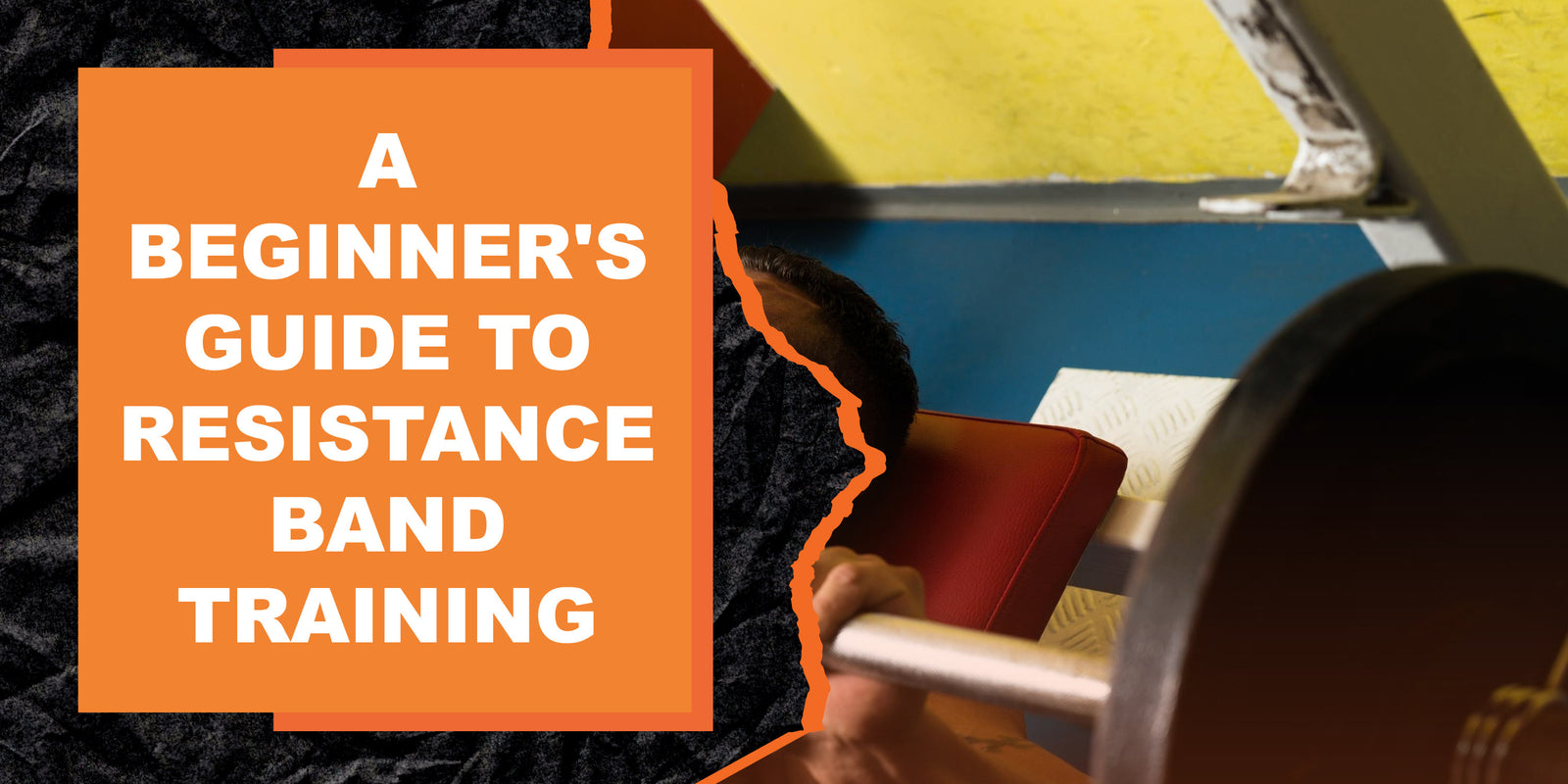 A Beginner's Guide to Resistance Band Training | MAGMA Fitness