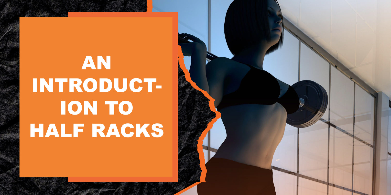 An Introduction to Half Racks | MAGMA Fitness