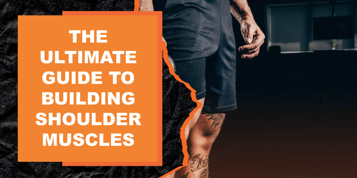 The Ultimate Guide to Building Shoulder Muscles | MAGMA Fitness
