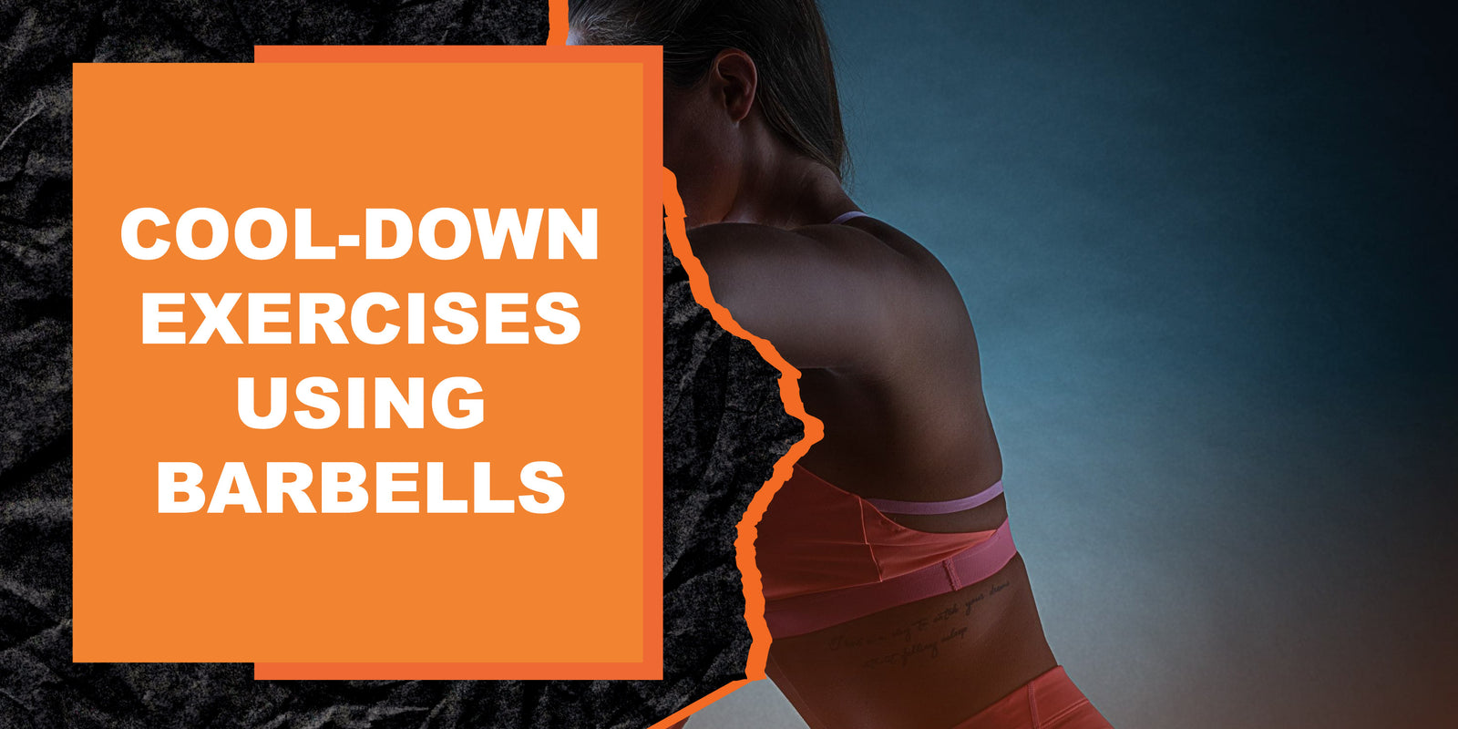 Cool-Down Exercises Using Barbells | MAGMA Fitness