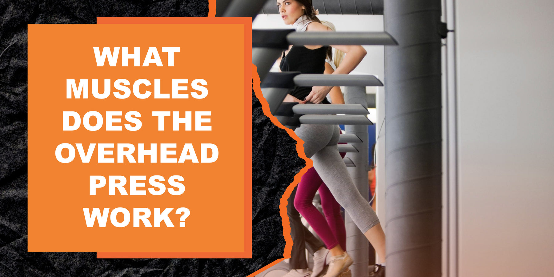 What Muscles Does the Overhead Press Work? | MAGMA Fitness
