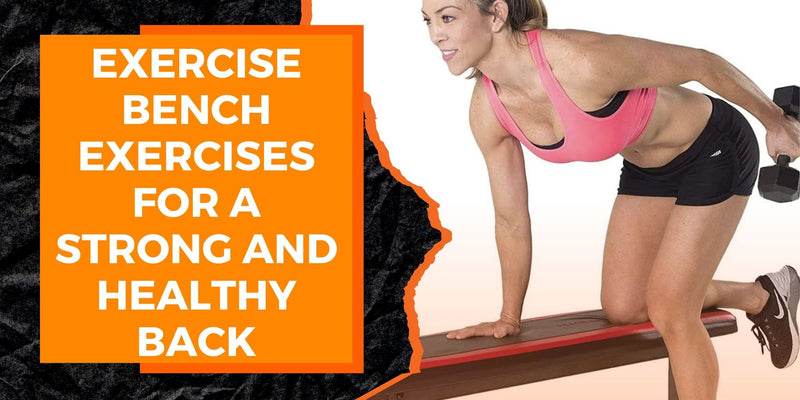 Exercise Bench Exercises for a Strong and Healthy Back | MAGMA Fitness