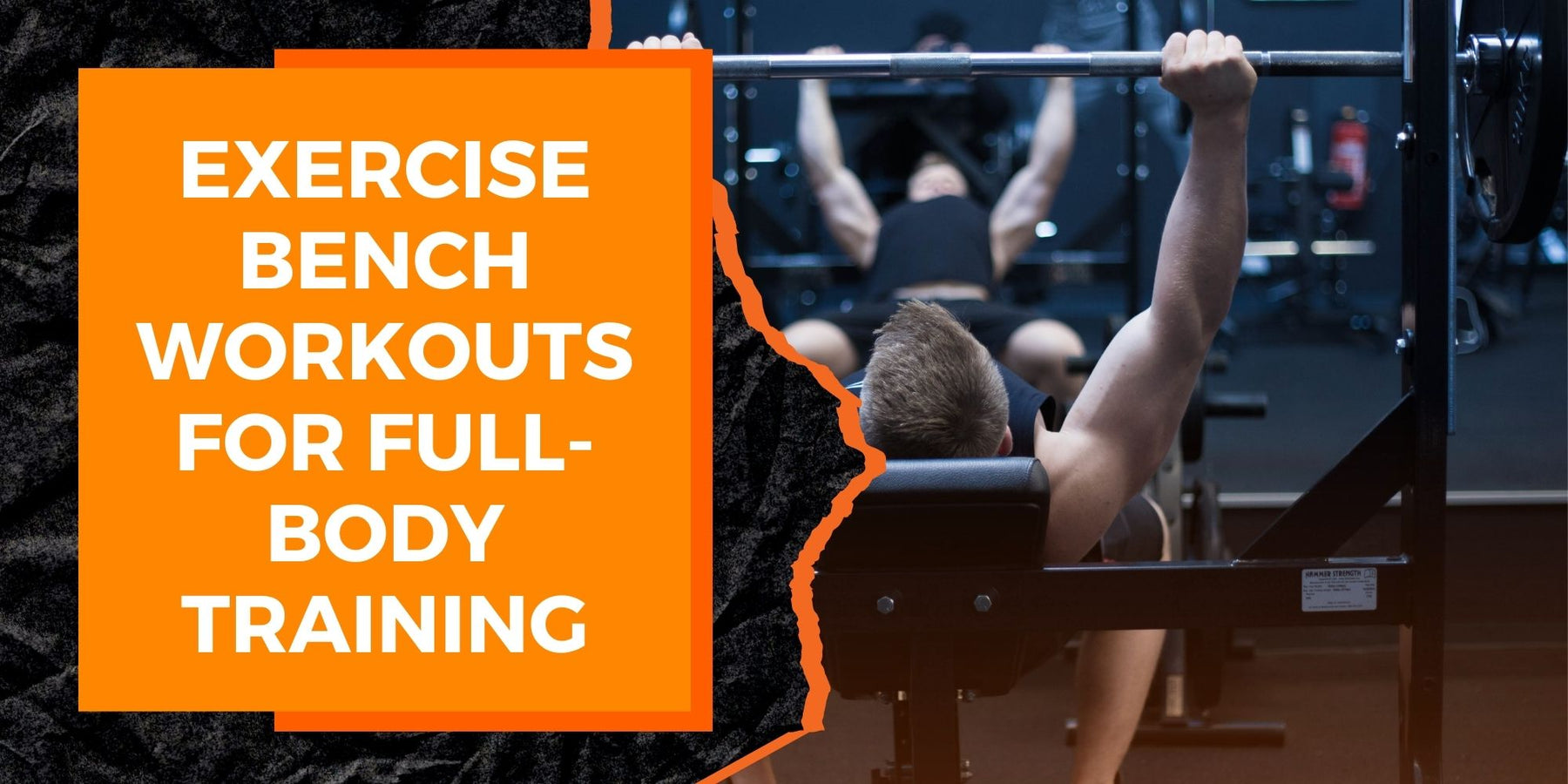 Exercise Bench Workouts for a Full-Body Strength Training | MAGMA Fitness