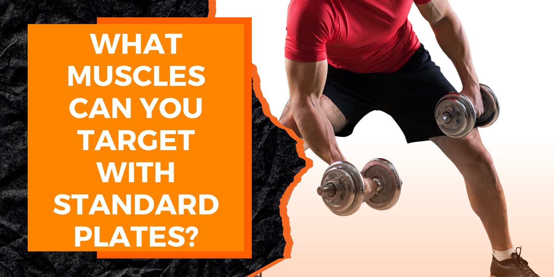 What Muscles Can You Target with Standard Weight Plates? | MAGMA Fitness