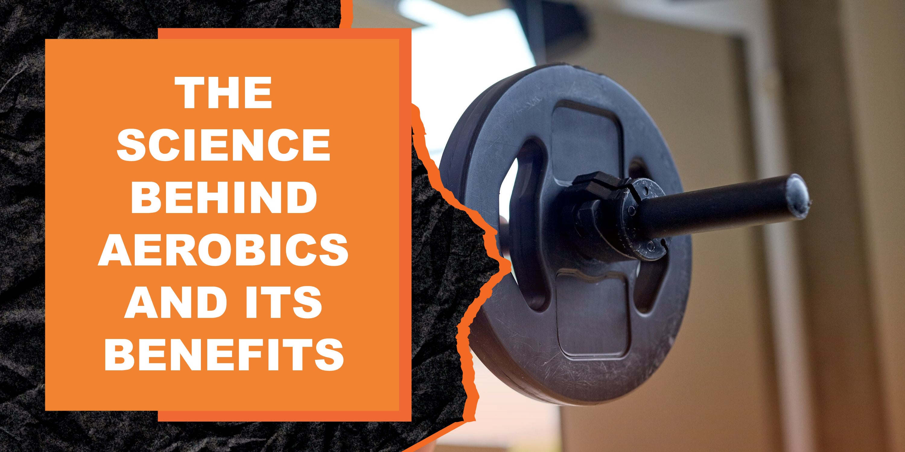 The Science Behind Aerobics and Its Benefits | MAGMA Fitness