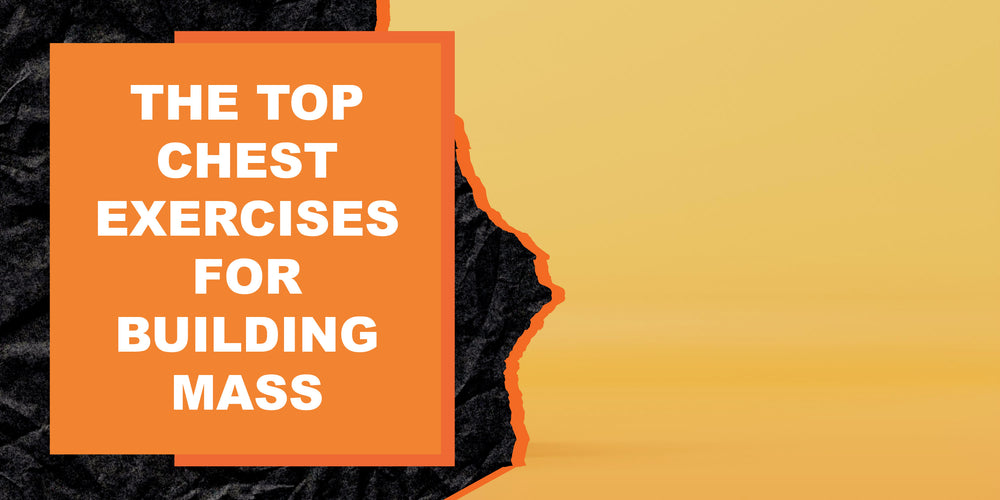The Top Chest Exercises for Building Mass | MAGMA Fitness