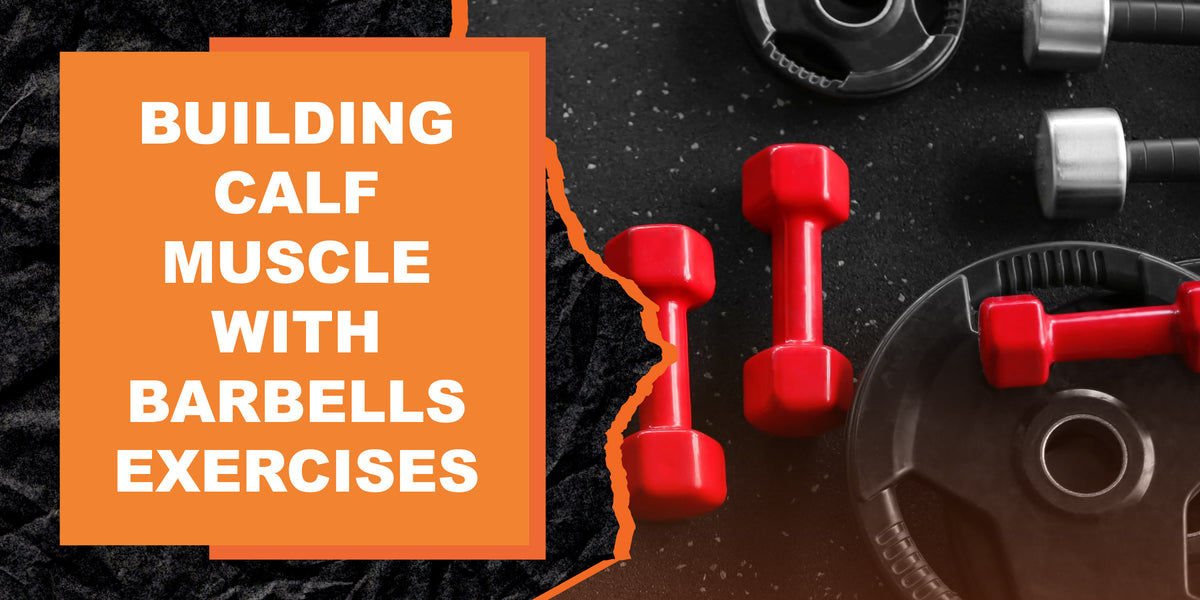 Building Calf Muscle with Barbells Exercises | MAGMA Fitness